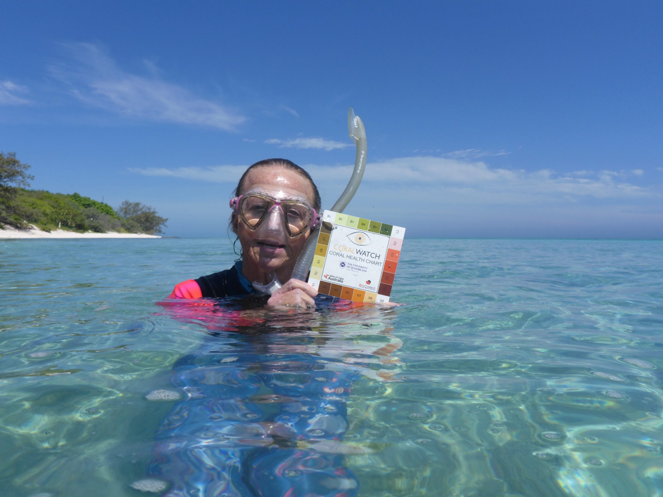 CoralWatch launches new database – Atlas of Living Australia