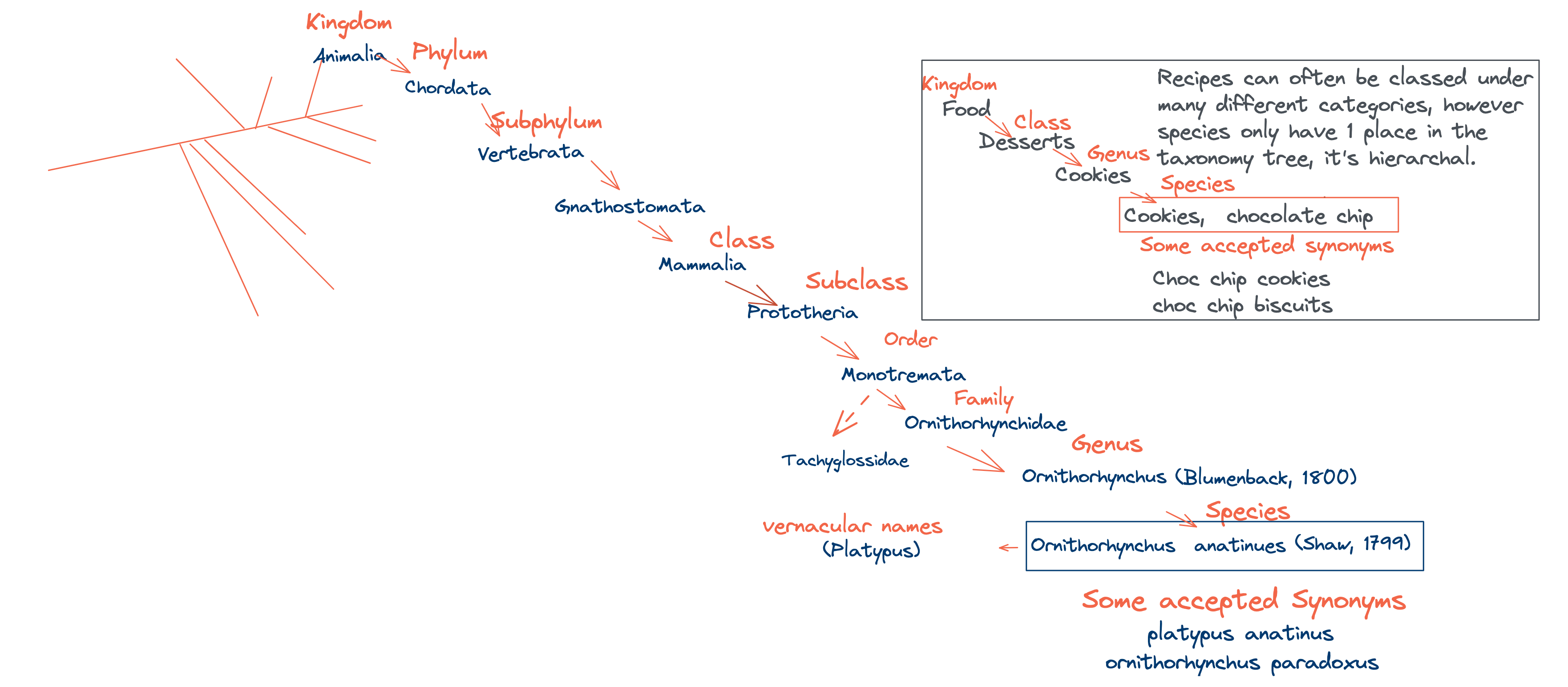 ALA Update: Name matching service & what it means – Atlas of Living ...