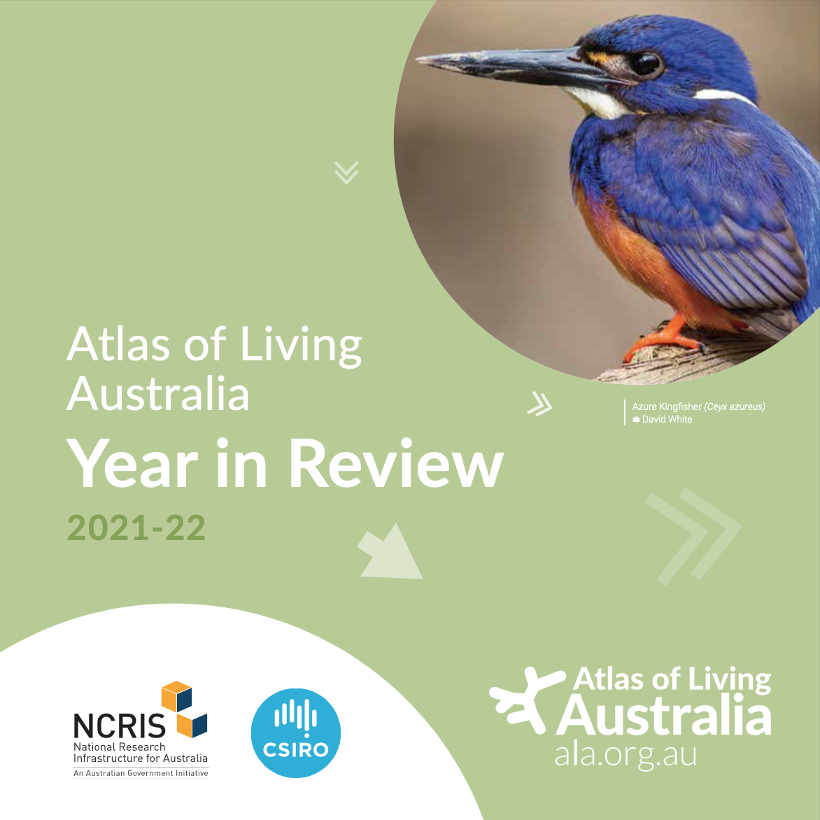 Atlas of Living Australia Year in Review 2021–22 – Atlas of Living ...