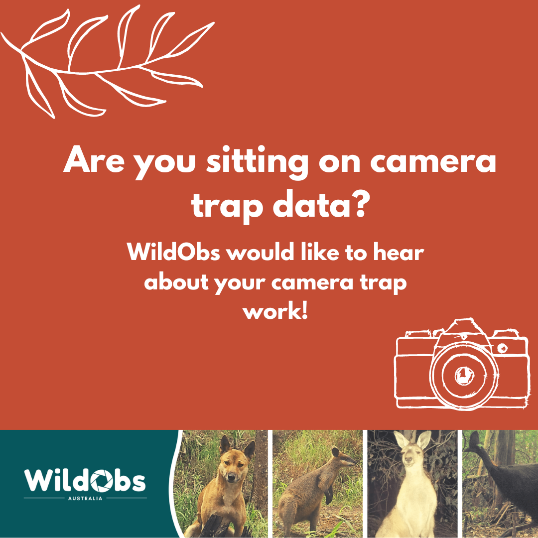 Are you sitting on camera trap data? – Atlas of Living Australia