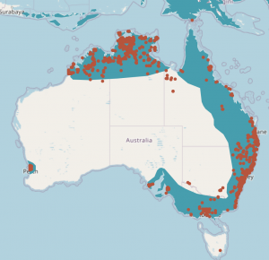 Our ALA interns dive into data – Atlas of Living Australia