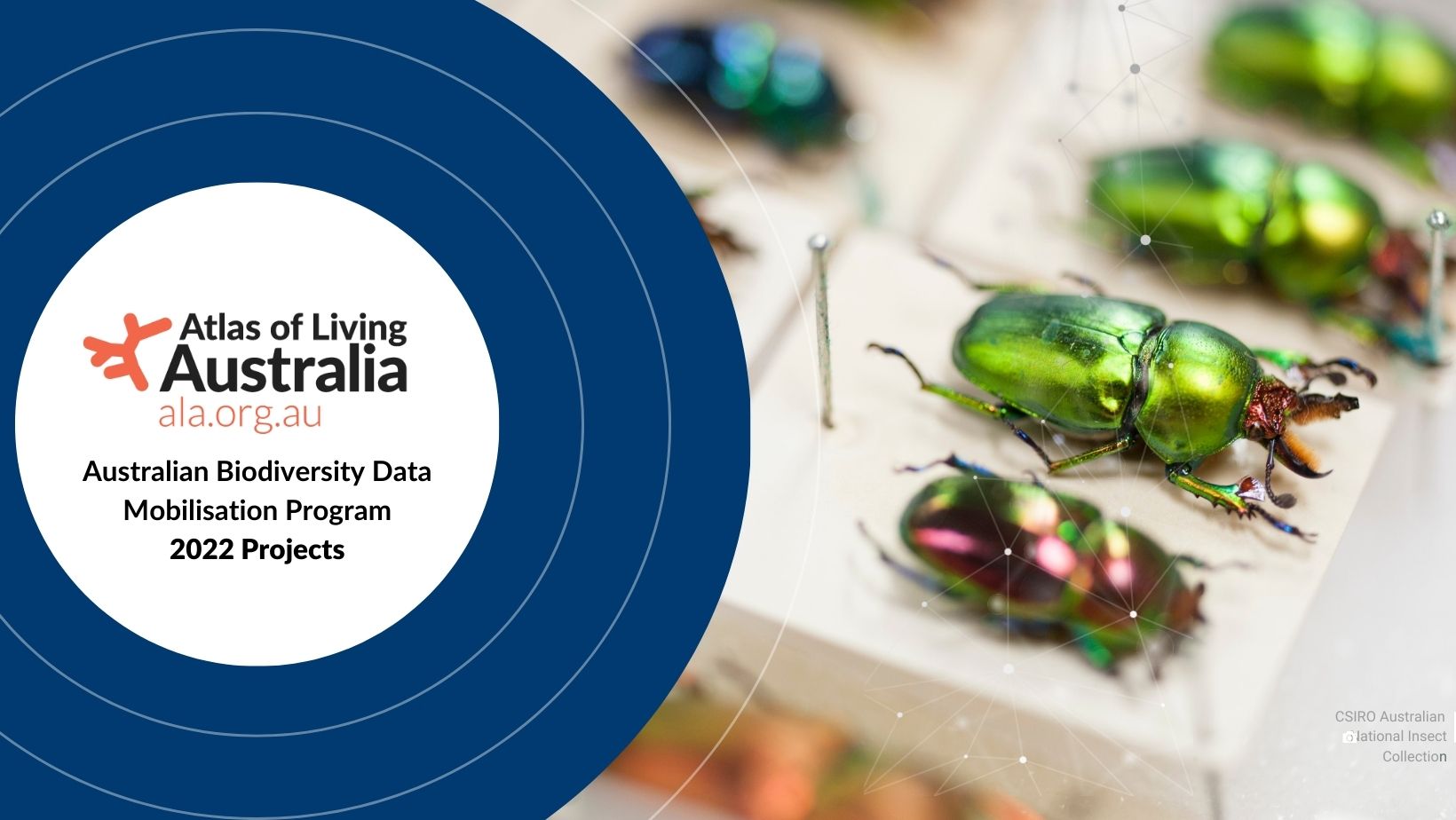 Protecting Australian biodiversity with data – Atlas of Living Australia