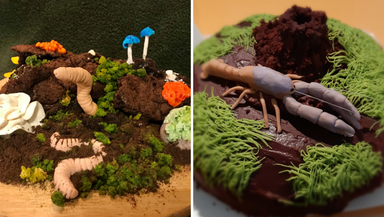 Get involved in the Threatened Species Bake Off 2023! – Atlas of Living ...