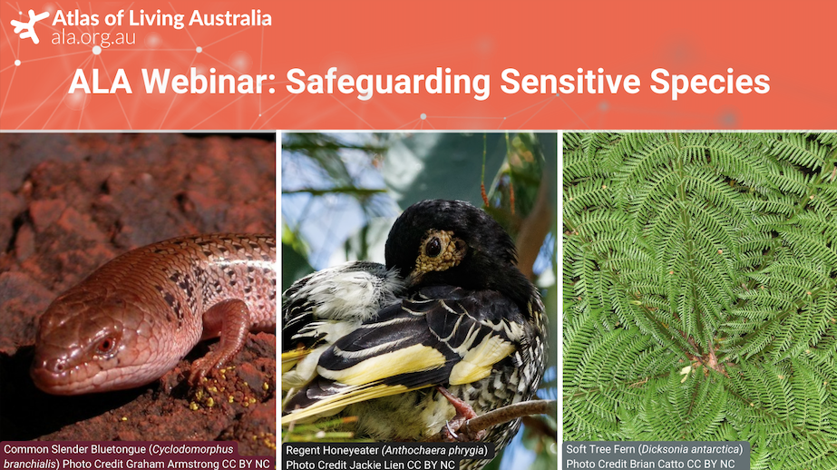 ALA Webinar: Safeguarding Sensitive Species – Atlas of Living Australia