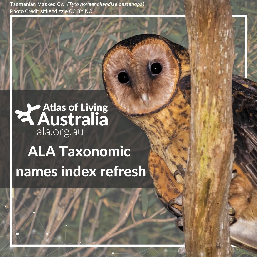 What’s in a Name? Refreshing the ALA taxonomy – Atlas of Living Australia