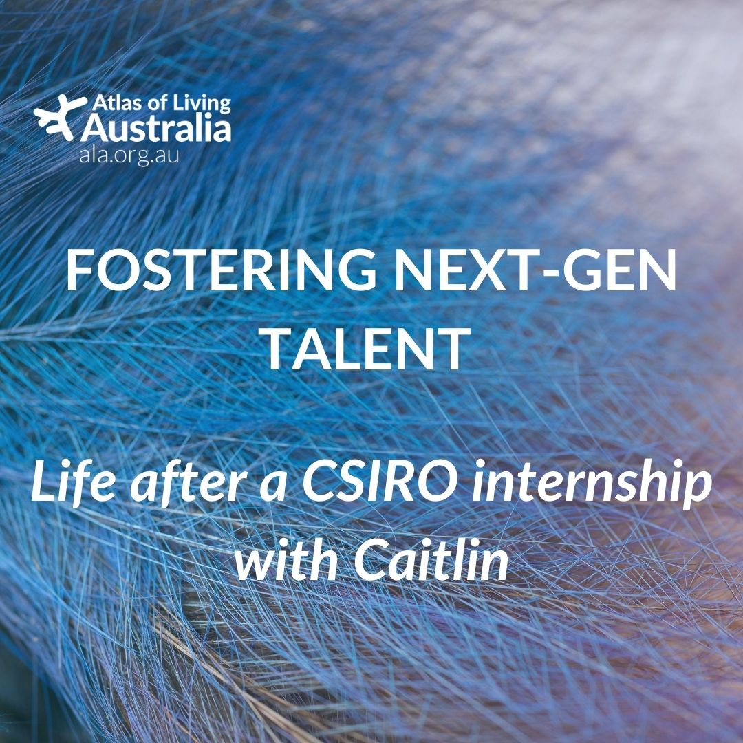 Fostering next-gen talent – life after a CSIRO internship with Caitlin ...