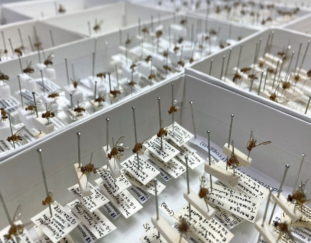 New projects will fill gaps in Australia’s national biodiversity data ...